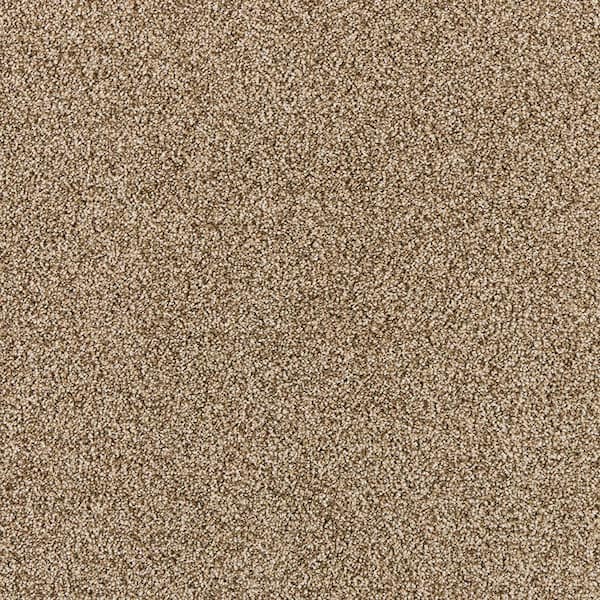 TrafficMaster 8 in. x 8 in. Texture Carpet Sample - Household Hues II ...