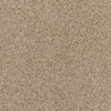 TrafficMaster 8 in. x 8 in. Texture Carpet Sample - Household Hues I ...
