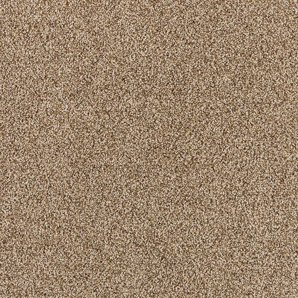 TrafficMaster 8 in. x 8 in. Texture Carpet Sample - Household Hues I ...