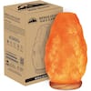 Himalayan Glow Himalayan Salt Lamp, 10 in. Tall, Night Light Table Lamp ...