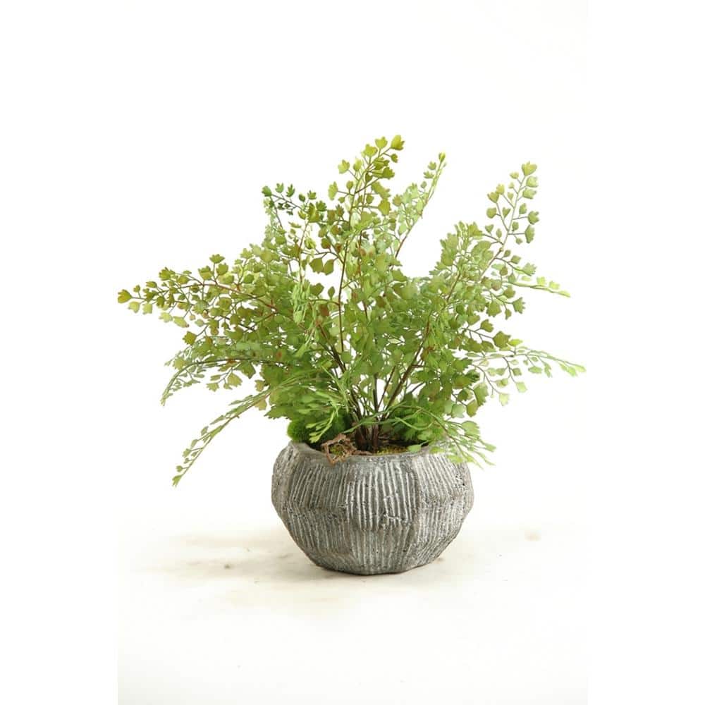 D&W Silks Artificial Indoor Flat Iron Fern in Concrete Bowl 156036 ...