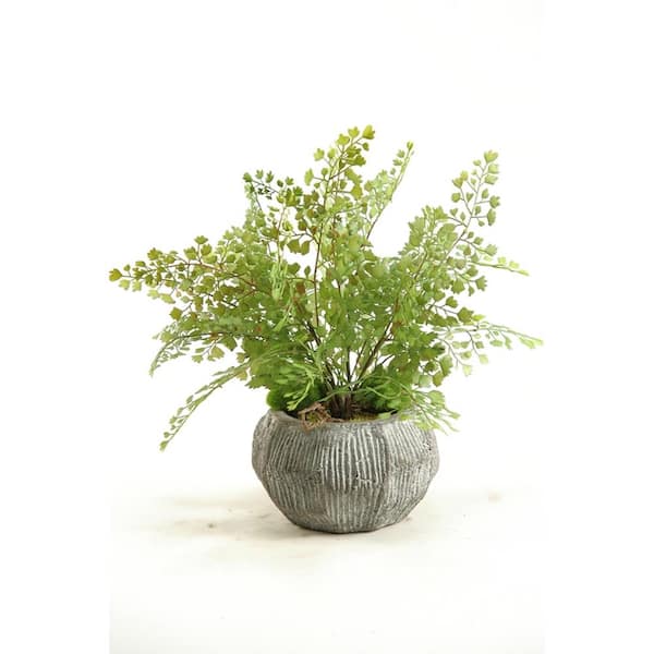 D&W Silks Artificial Indoor Flat Iron Fern in Concrete Bowl 156036 ...