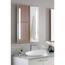 KOHLER 40 in. W x 33 in. H Rectangular Frameless LED Light Wall-Mount ...