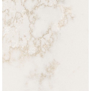 STONEMARK Quartz Countertop Sample in Argos OQ63 - The Home Depot