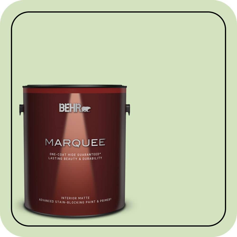 BEHR MARQUEE 1 gal. #P380-3 Irish Folklore Matte Interior Paint ...