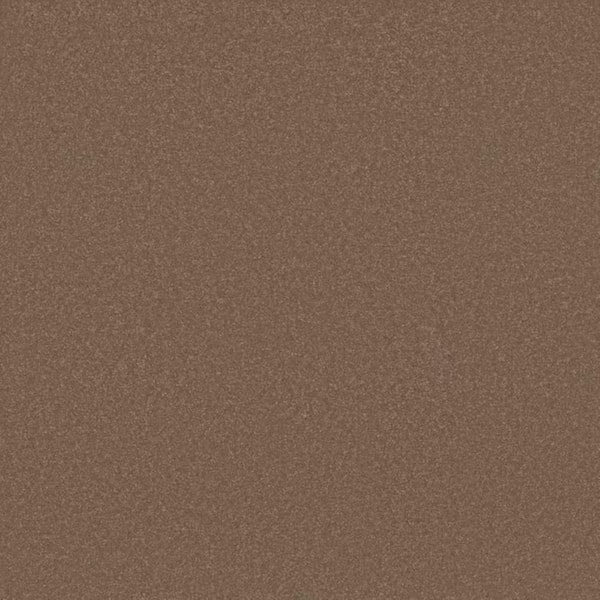 Shaw 8 in. x 8 in. Texture Carpet Sample-Park Royal II-Color Wheat SH ...