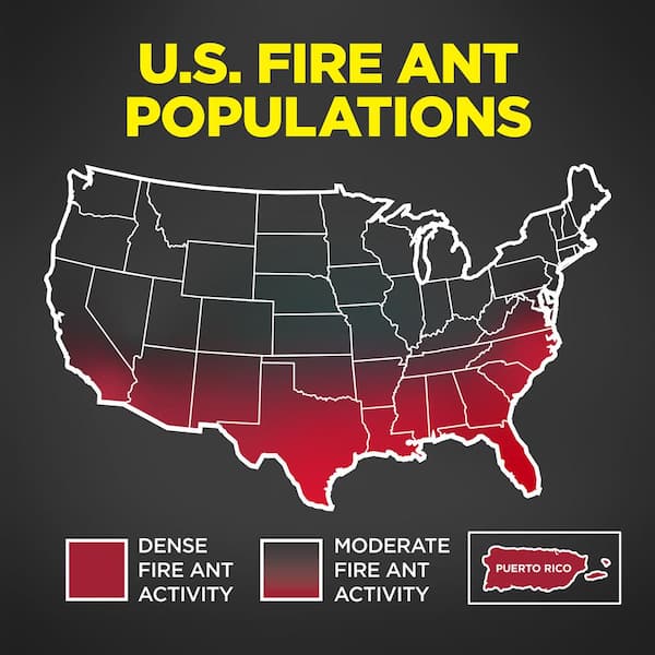 Fire Ant Map 2022