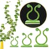 Plant Climbing Wall Clips, Invisible Plant Clips for Climbing Plants ...