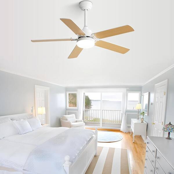 CACI Mall 42 in. Indoor Integrated LED White Ceiling Fan with Light Kit ...
