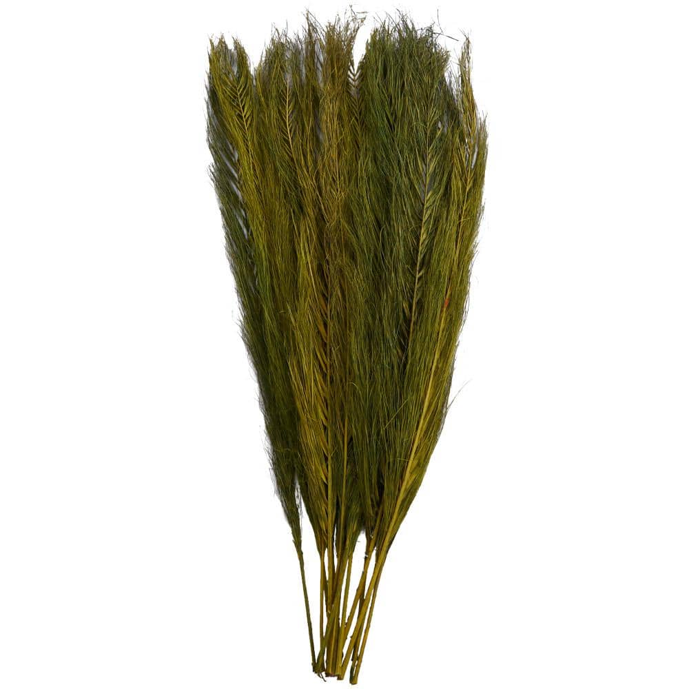 Litton Lane 35 in. Leaves Natural Foliage with Feather Inspired Stems ...