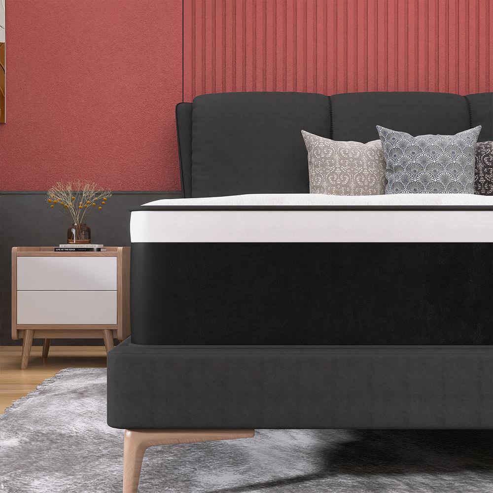 CHEVNI Queen Medium Hybrid Mattress Pocket Spring 10 in. Bed-in-a-Box ...