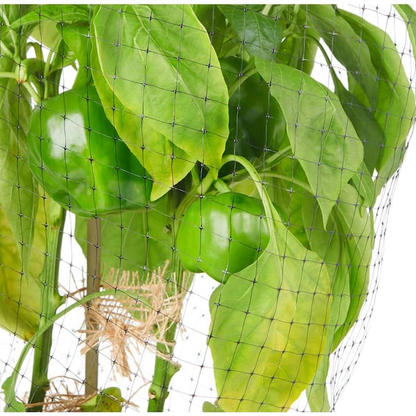 Vigoro 7 ft. x 100 ft. Polypropylene Deer Block Netting, UV Treated ...