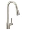 MOEN Doherty Single Handle Pull-Down Sprayer Kitchen Faucet with Power Clean and Reflex in Spot ...
