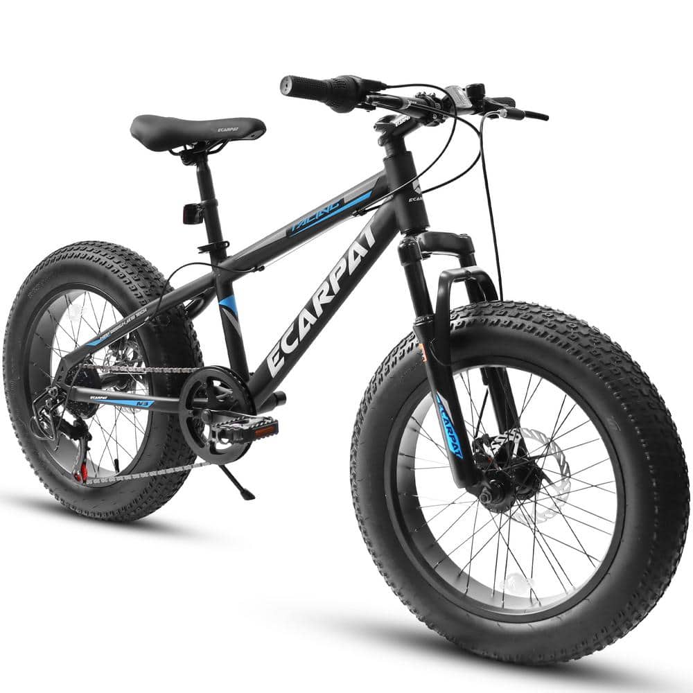Cesicia 20 in. 7 Speed Mountain Bike in Blue with Fat Tire FTBCC2001 - The Home Depot