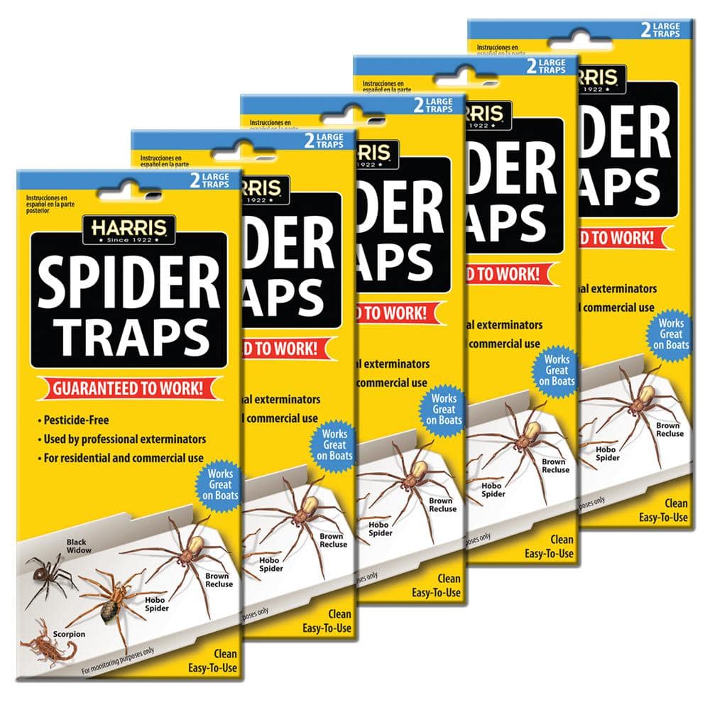 Harris Spider Trap Value Pack STRPVP - The Home Depot
