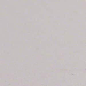 4x24 - Tile - Flooring - The Home Depot