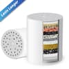 ISPRING 15-Stage Shower Filter Replacement Cartridge, Improves ...