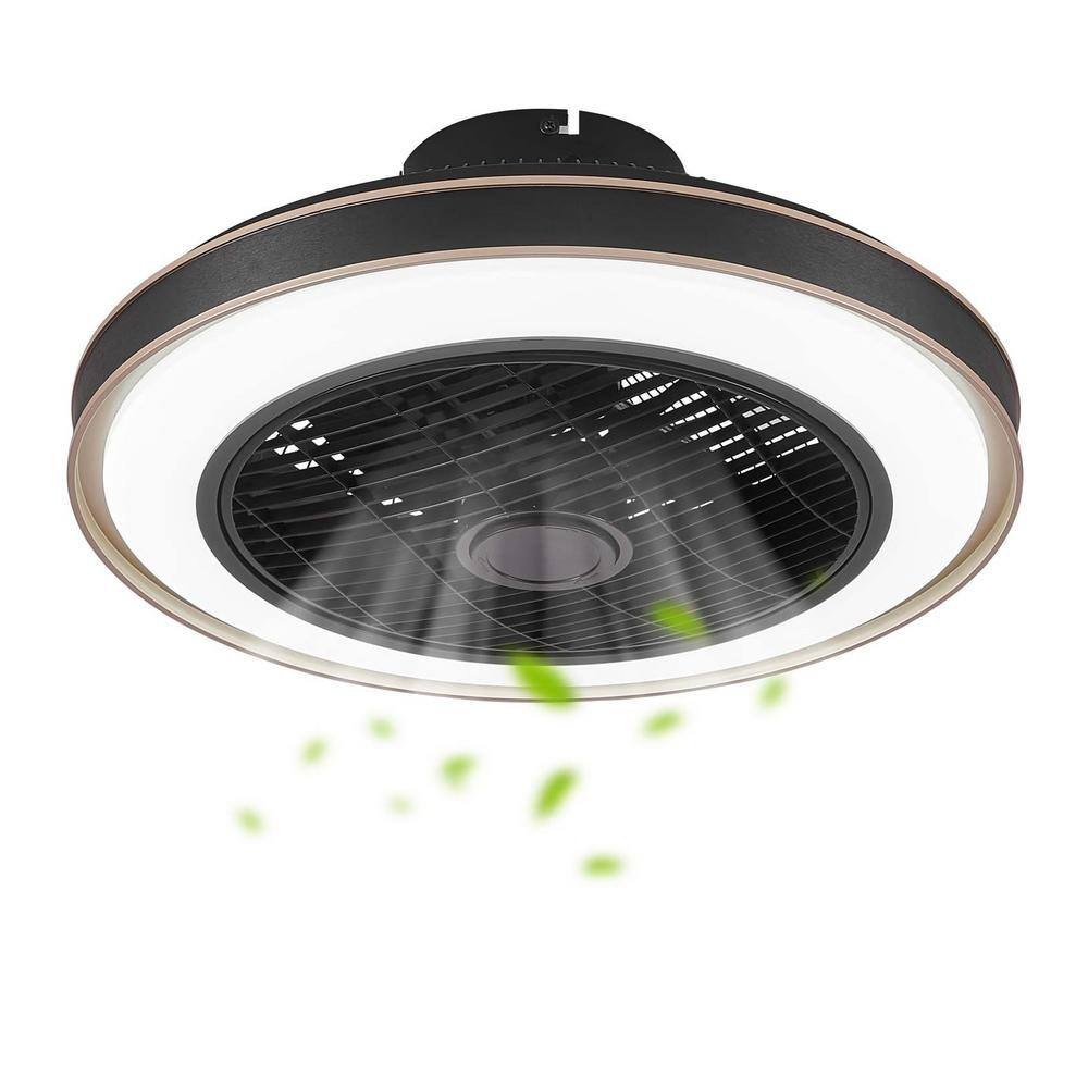 Moxyrano Blade Span 12 in. Black Ceiling Fan with LED Light and Remote ...