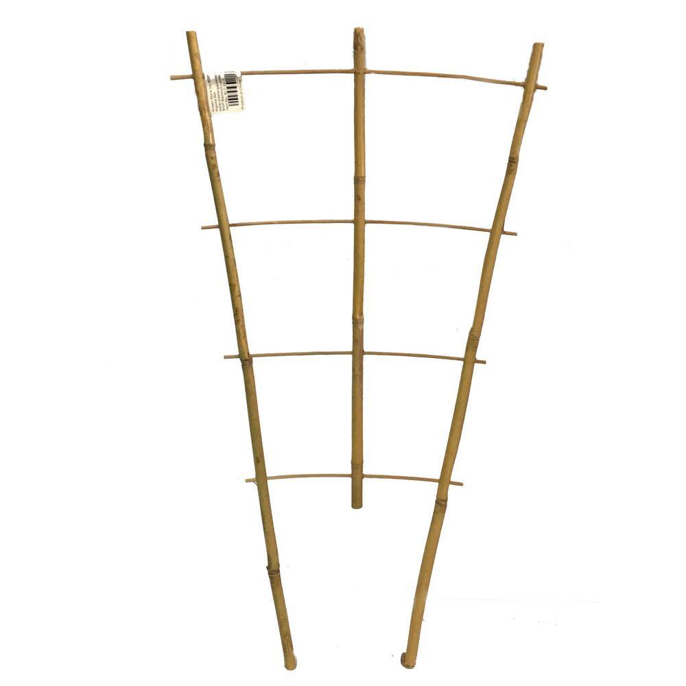 MGP 24 in. H Bamboo ladder Trellis, Set of 3 BLT-24-3 - The Home Depot
