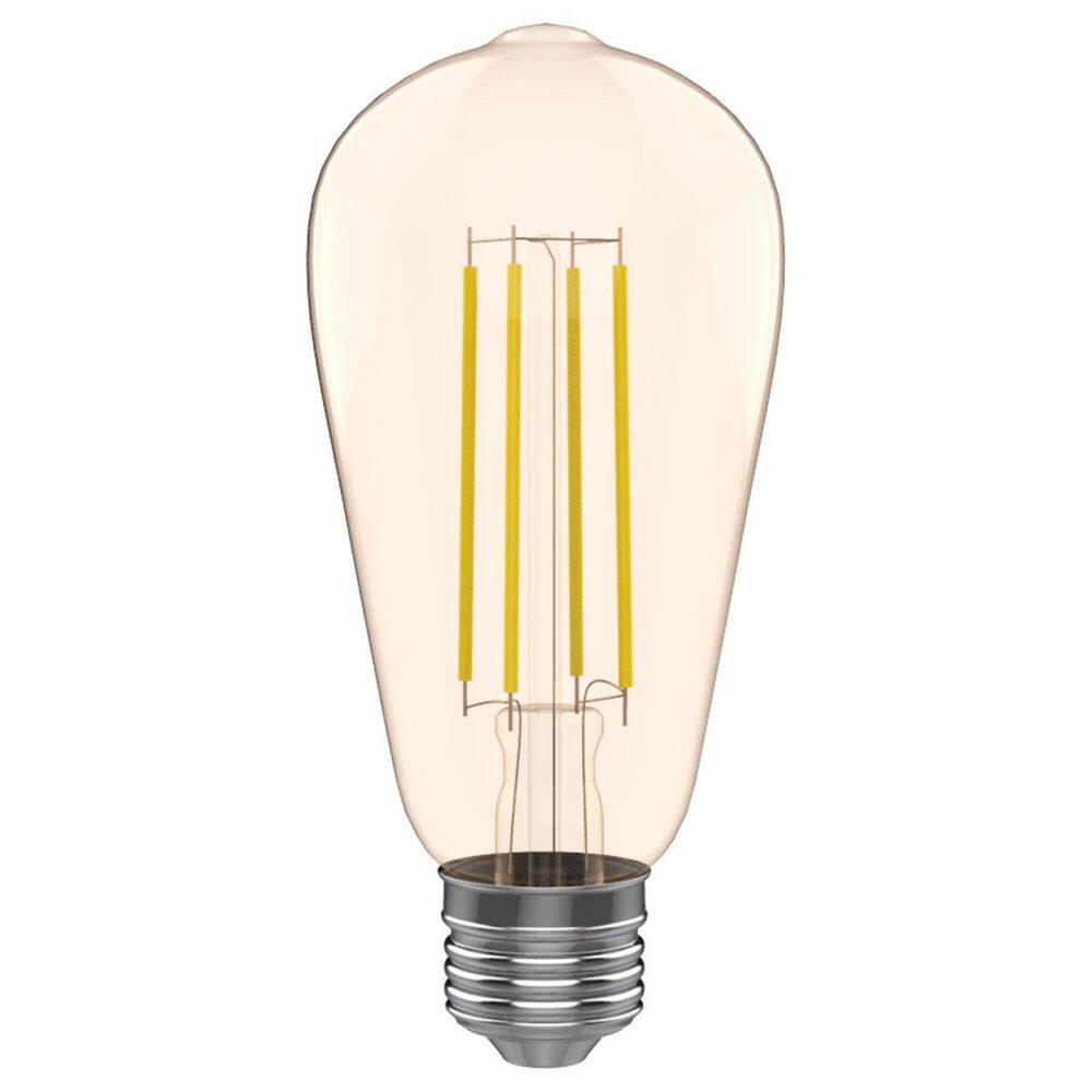 Viribright 40-Watt Equivalent ST19 Decorative Bulb Amber Glass Filament ...