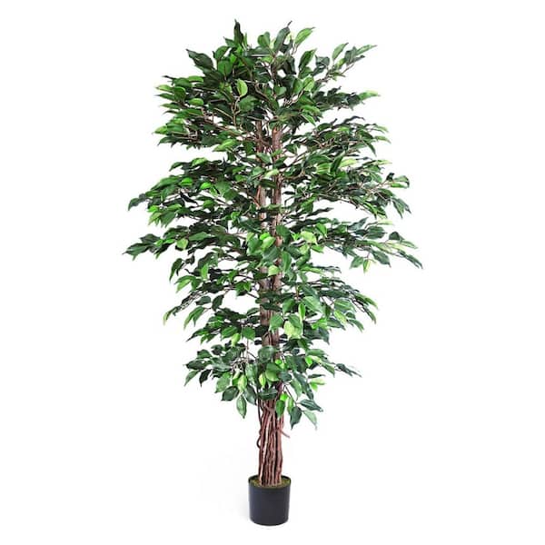 6 ft. Artificial Ficus Tree in Black Pot Z0CBJYV5M3 - The Home Depot