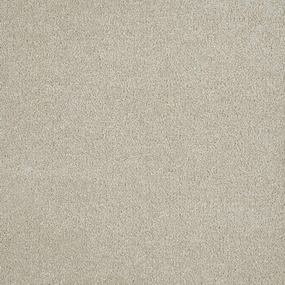 Home Decorators Collection Chastain I - Garson - Beige 40 oz. SD ...