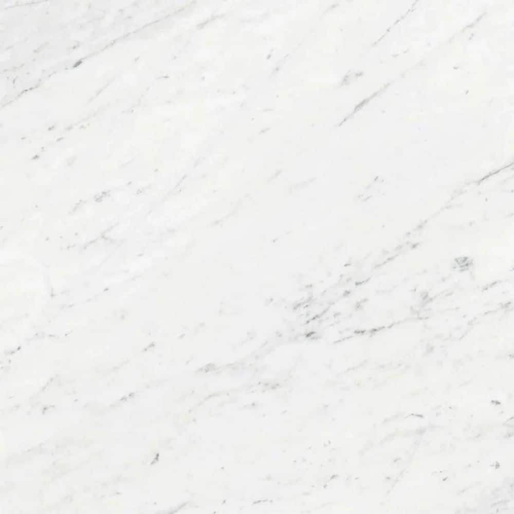 Apollo Tile Regalia 12 in. x 12 in. Matte White Porcelain Veining Tile ...