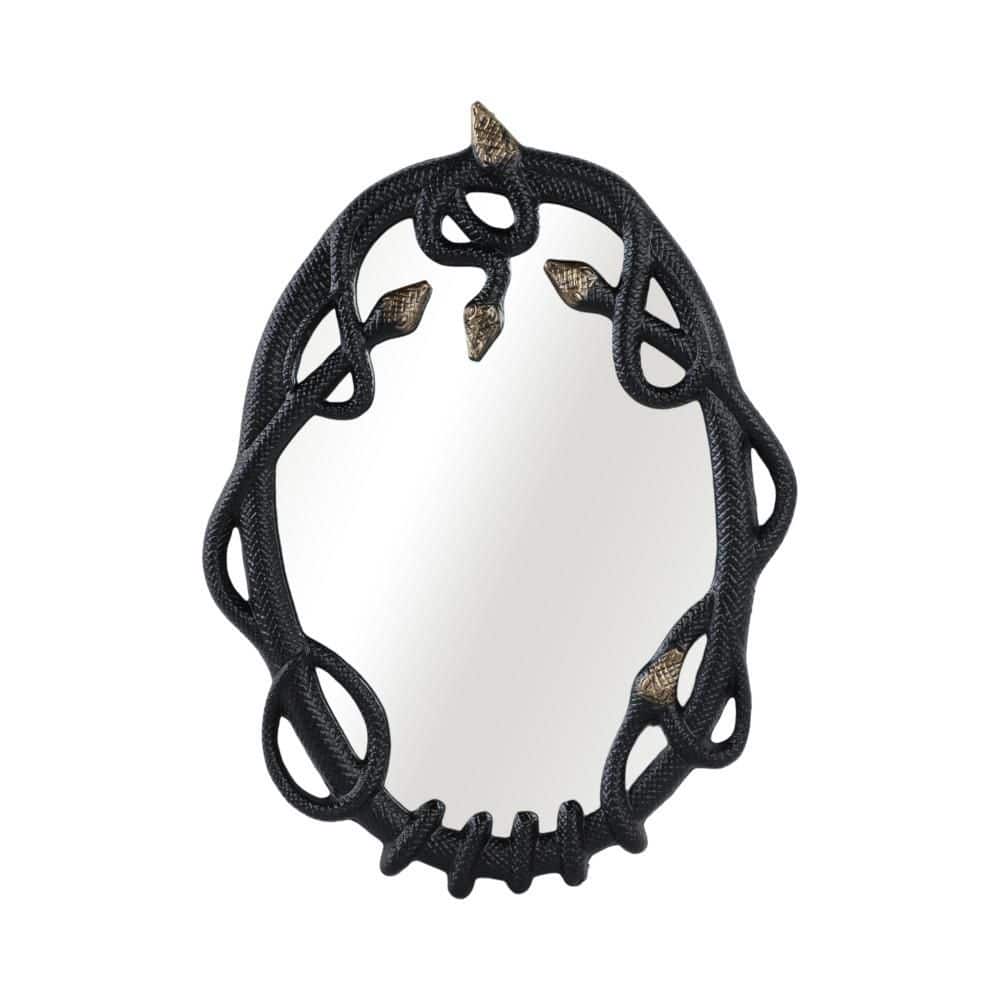 Liv & Skye Black 22 in. x 28 in. Modern Round Aluminum Snake Mirror ...