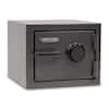 SANCTUARY Diamond 0.79 cu. ft. Fireproof/Waterproof Home & Office Safe ...