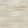 MSI Benson Park 4 in. x 4 in. Matte Porcelain Tile Sample (0.11 sq. ft ...