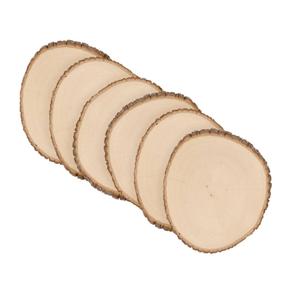 Walnut Hollow 1 in. x 13 in. x 13 in. Basswood Extra Large Round Live ...