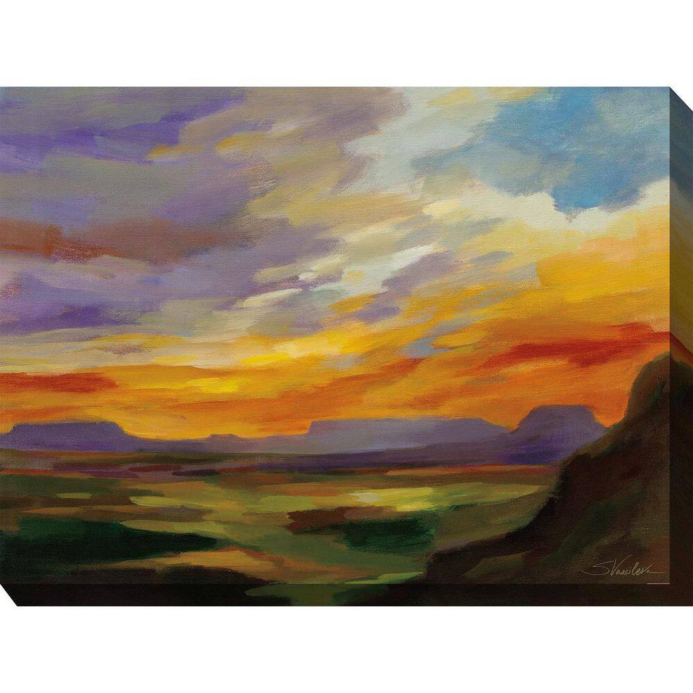 WEST OF THE WIND LLC Sonoran Sunset Outdoor Art 40 in. x 30 in. OU ...