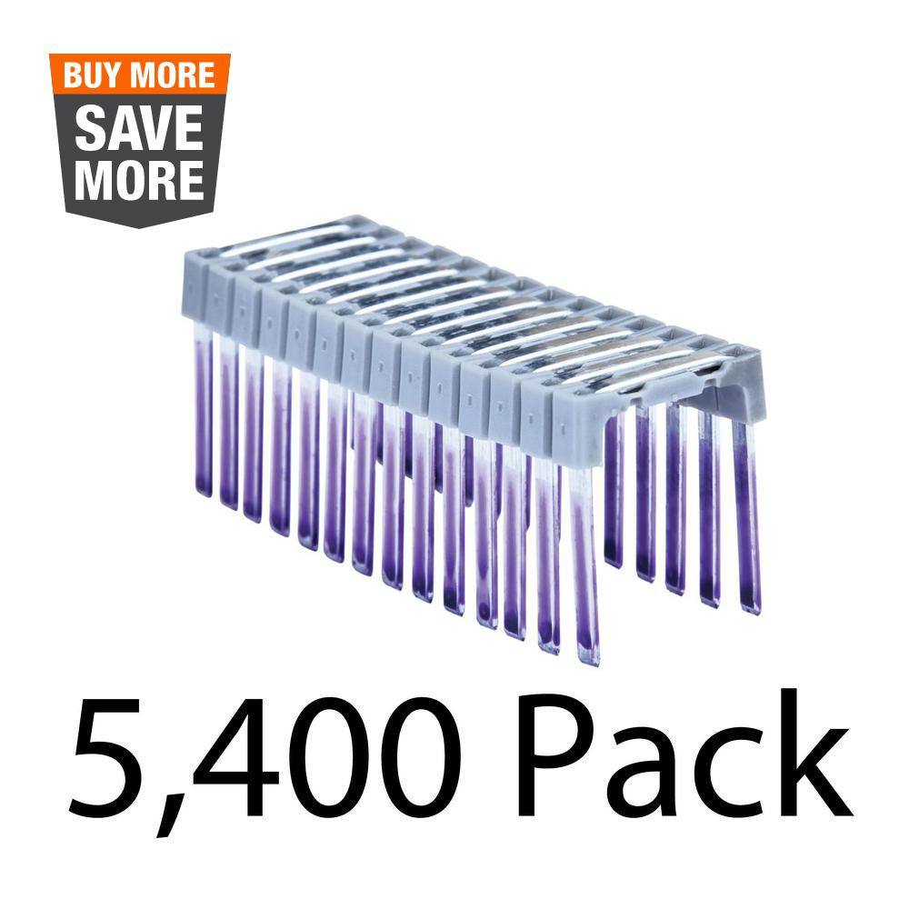 DEWALT 1 in. Insulated Electrical Staples 10 Boxes (540 Per Box ...