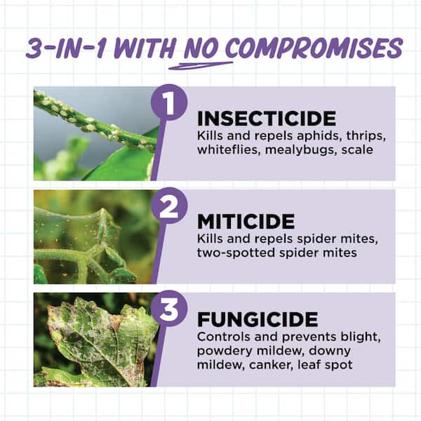 EARTH'S ALLY 24 oz. Ready-to-Use Insecticide, Miticide, Fungicide 3-in ...