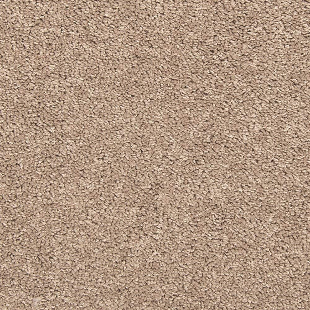 TrafficMaster Whisk and Whimsy II-Harmonious-Brown 34 oz. Polyester ...
