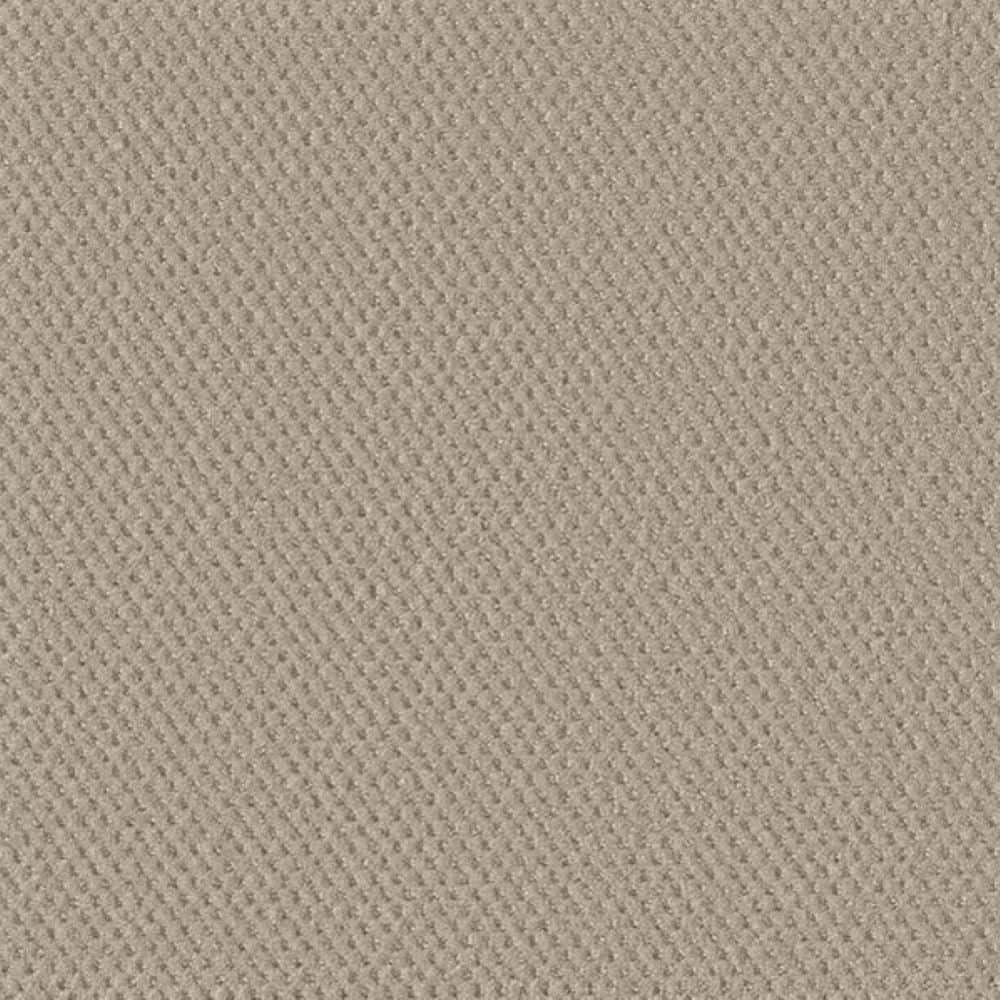 TrafficMaster 8 in. x 8 in. Pattern Carpet Sample-Fretboard-Color ...