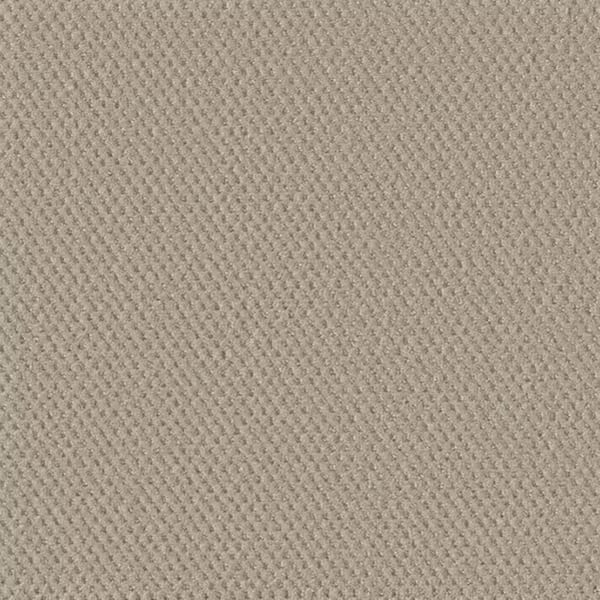 TrafficMaster 8 in. x 8 in. Pattern Carpet Sample-Fretboard-Color ...