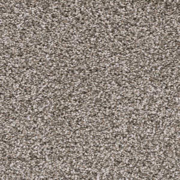 Home Decorators Collection 8 in. x 8 in. Texture Carpet Sample ...