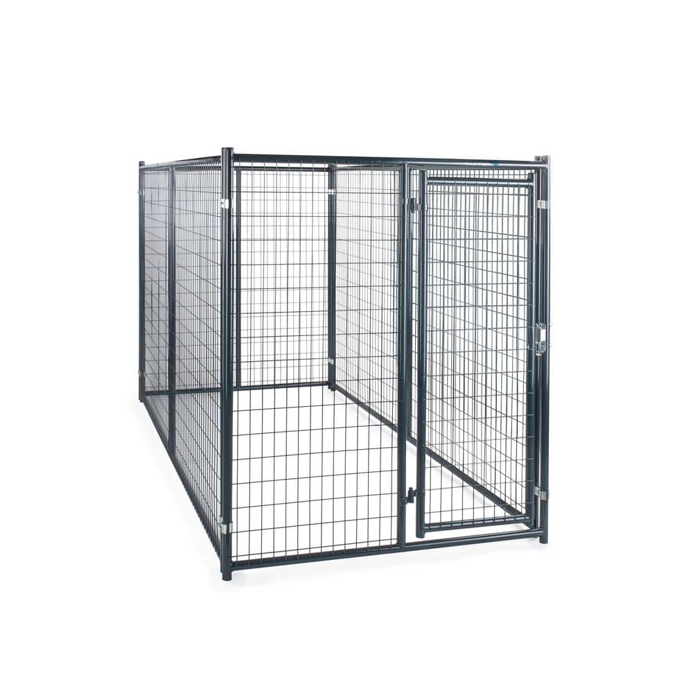TARTER 72 in. x 58 in. x 120 in. Blue Champion Steel Dog Kennel DKMDB ...