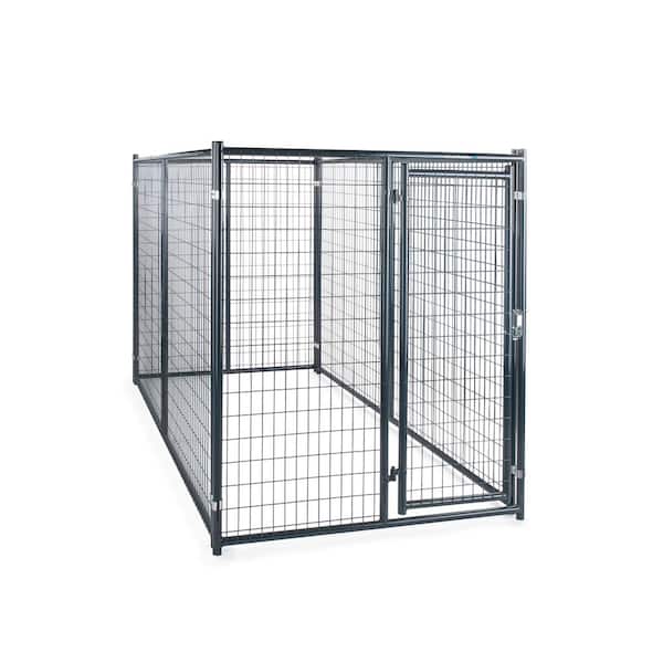 TARTER 72 in. x 58 in. x 120 in. Blue Champion Steel Dog Kennel DKMDB ...