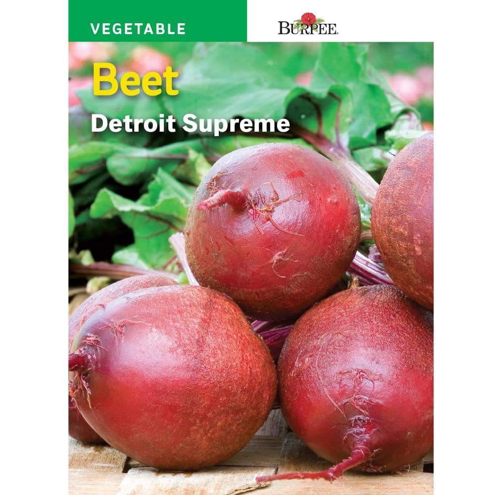 Burpee Beet Detroit Supreme Seed 52201 - The Home Depot