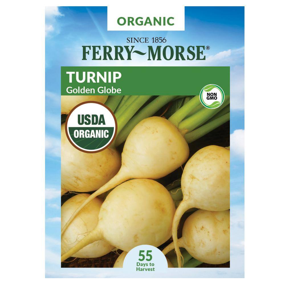 Ferry-Morse Organic Turnip Golden Globe Vegetable Seed 9642 - The Home ...