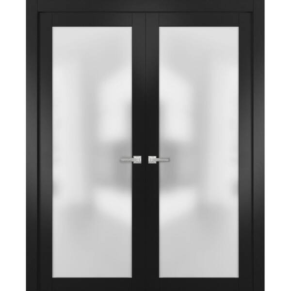 Sartodoors 48 in. x 80 in. 2 Panel Black Matte Finished Solid Wood ...