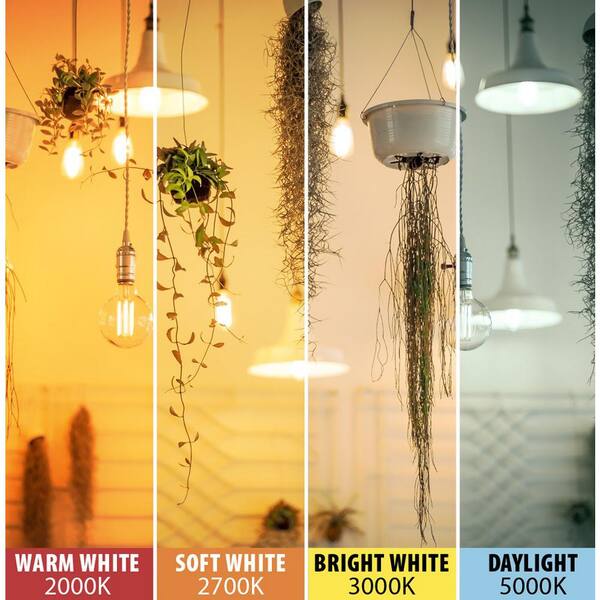 Bright white light bulbs store