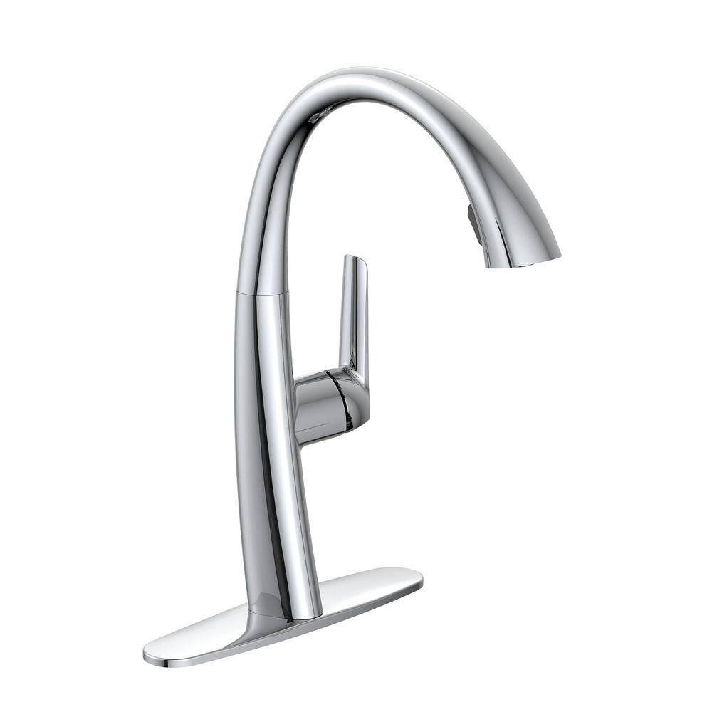 Reviews for PRIVATE BRAND UNBRANDED Deveral Single-Handle Pull Down ...