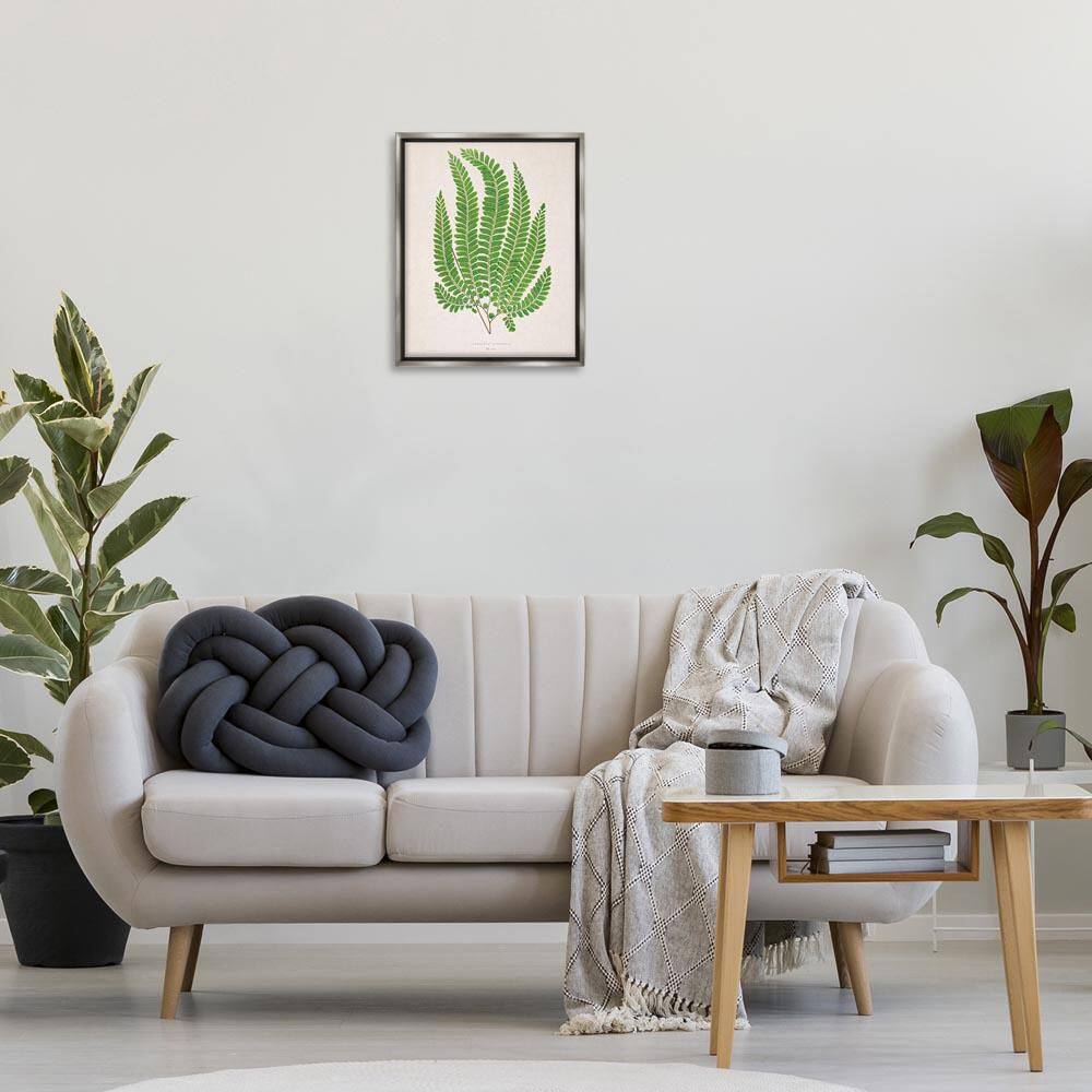 Stupell Industries Cottage Ferns Study by Phillipa Katz Gray Floater ...