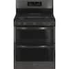 GE Profile 30 in. 5 Burner Smart Freestanding Double Oven Gas Range in ...