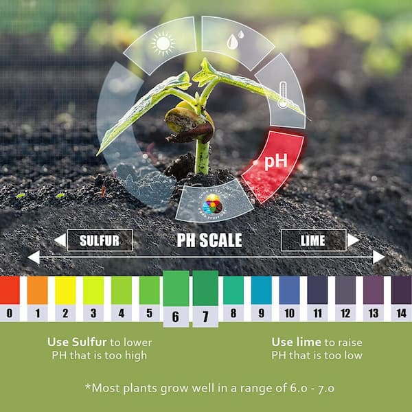 EARTH SCIENCE 2.5 lbs. 500 sq. ft. Fast Acting Lime Soil Amendment with ...