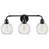Merra 25 in. 3-Light Black Industrial Vanity Light Wall Sconce with ...