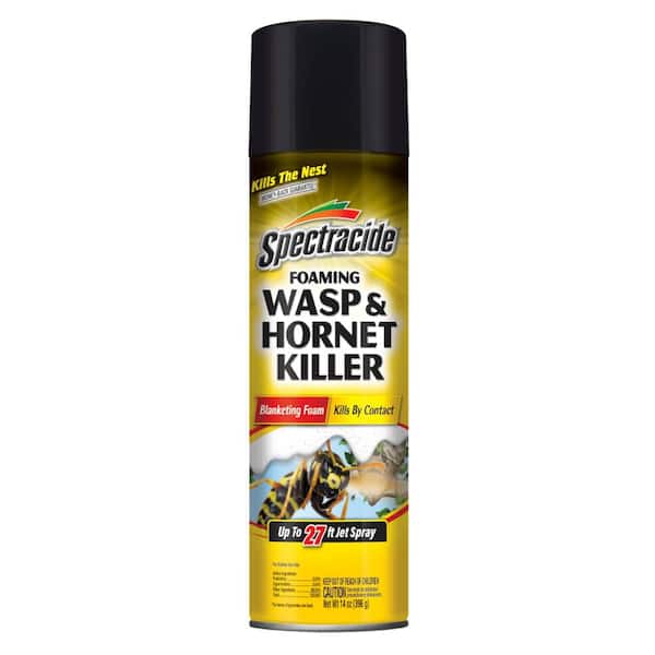 Reviews for Raid Wasp and Hornet Killer, Stinging Bug Insecticide for ...